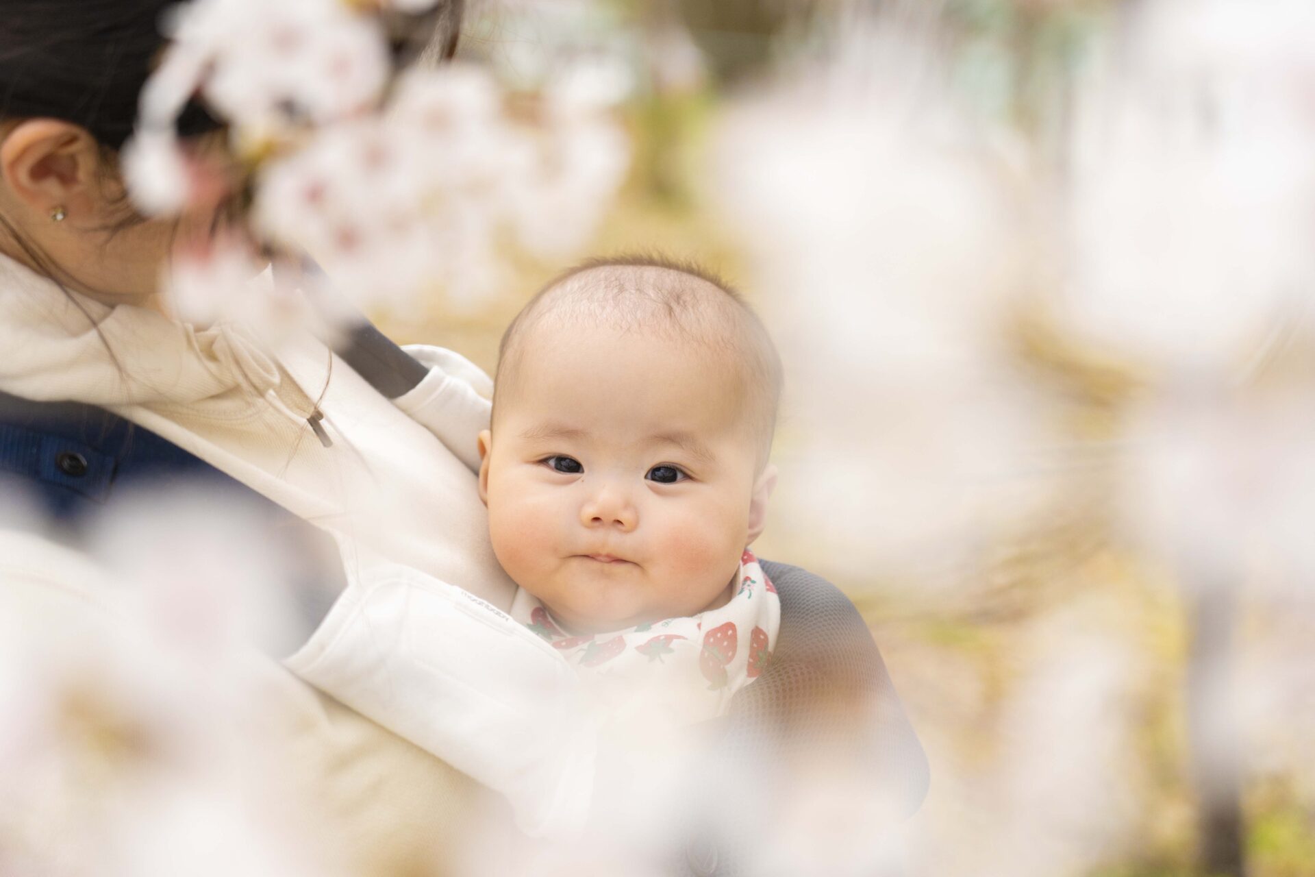 ファミリーフォト – KAORE