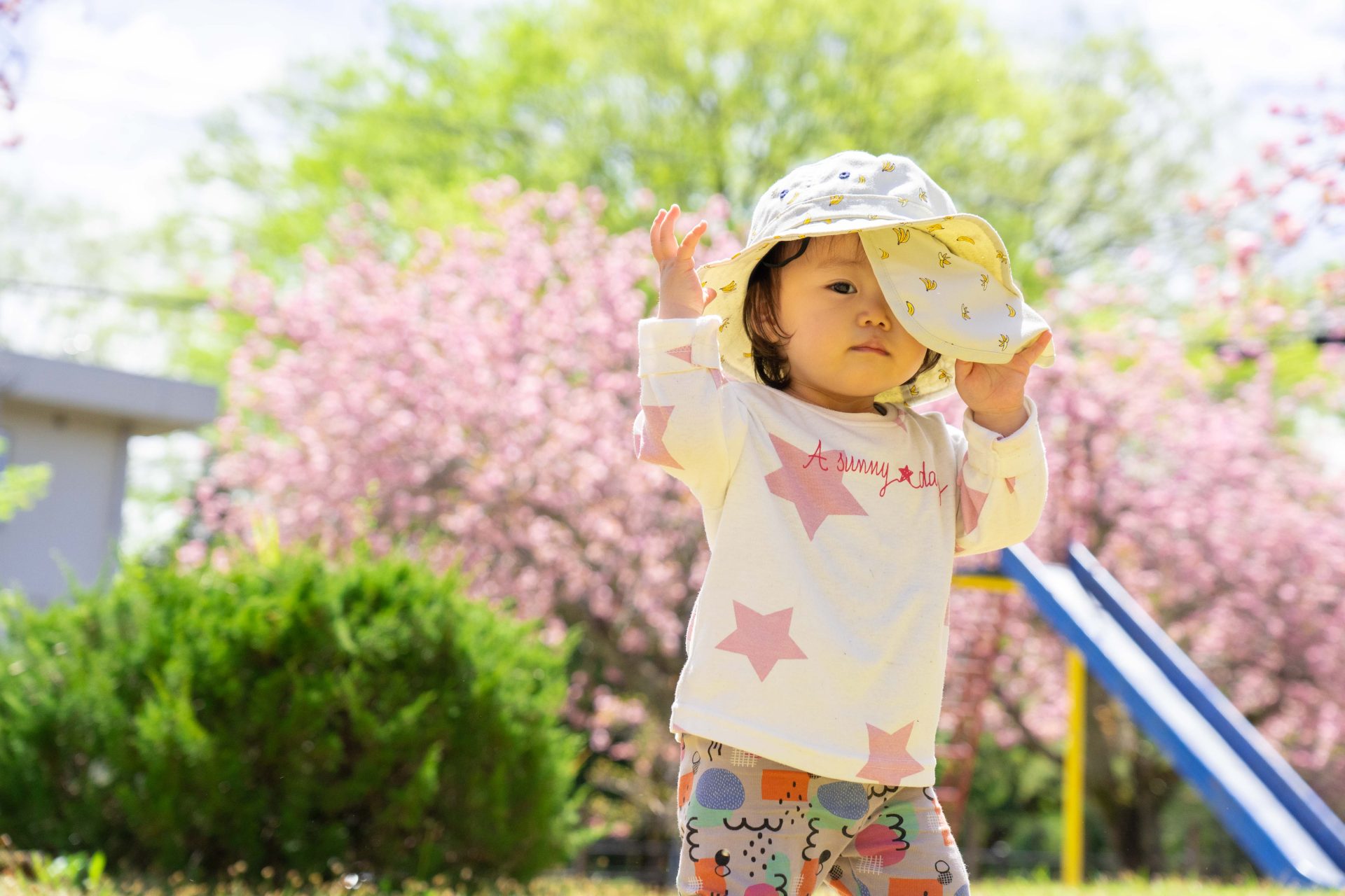 ファミリーフォト – KAORE