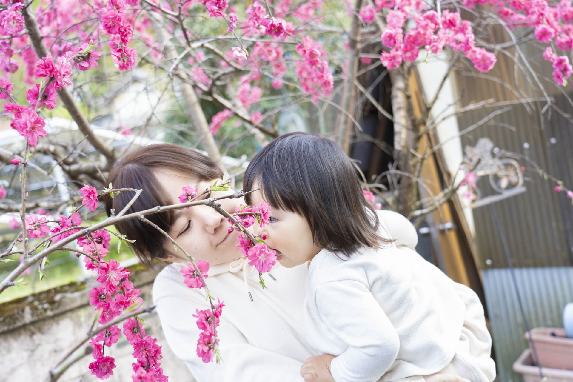 ファミリーフォト – KAORE